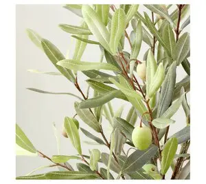 SAFAVIEH Faux-olive Potted Tree