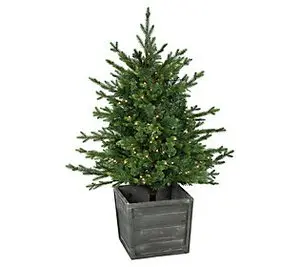 NORTHLIGHT 4' Pre-lit Potted Russian Pine Chris Tmas Tree - One-color