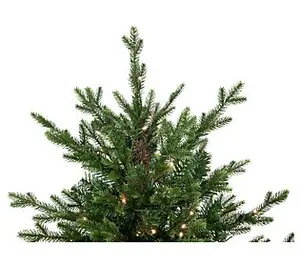 NORTHLIGHT 4' Pre-lit Potted Russian Pine Chris Tmas Tree