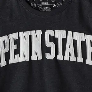 PRESSBOX Heathered Penn State Nittany Lions Long Sleeve T-shirt