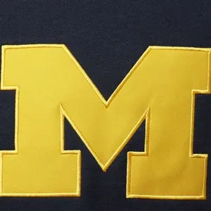 COLOSSEUM Michigan Wolverines Big Logo Team Pullover Hoodie