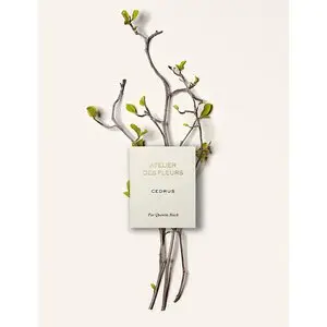 Chloé Atelier Des Fleurs Cedrus Eau De Parfum