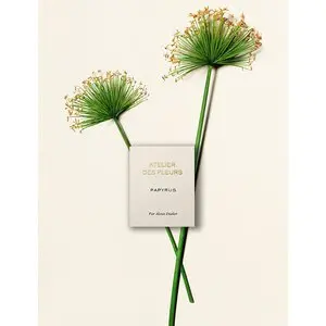 Chloé Atelier Des Fleurs Papyrus Eau De Parfum - Na