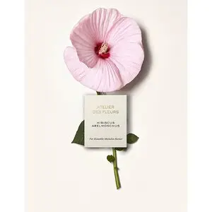 Chloé Atelier Des Fleurs Hibiscus Abelmoschus Eau De Parfum