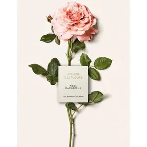Chloé Atelier Des Fleurs Rosa Damascena Eau De Parfum