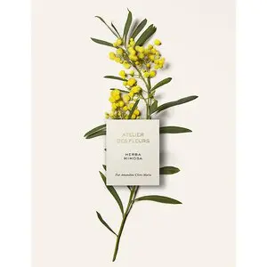 Chloé Atelier Des Fleurs Herba Mimosa Eau De Parfum - Na