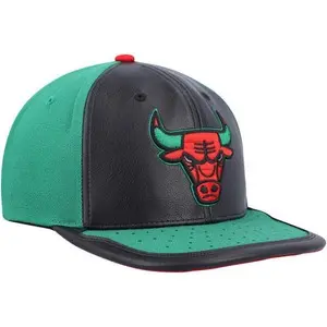 Mitchell & Ness Chicago Bulls Day One Snapback Hat