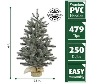 FRASER HILL FARM 4-ft. Heritage Pine Artificial Tree With Burl