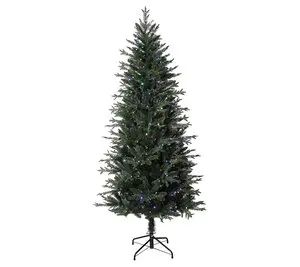 HAUTE DECOR 6.5' Slim Ashville Fir W/color Chan Ing Led Lights - One-color