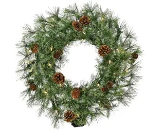 FRASER HILL FARM 24-in Wreath W/pinecones & War M White Led - One-color