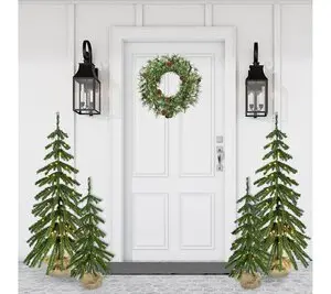 FRASER HILL FARM 24-in Wreath W/pinecones & War M White Led
