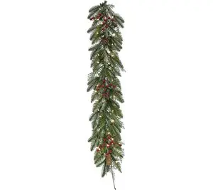 FRASER HILL FARM 9-ft Garland W/pinecones, Red Erries, Lights - One-color