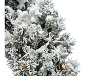 FRASER HILL FARM 24-in. Mountain Pine Flocked W Eath W/lights