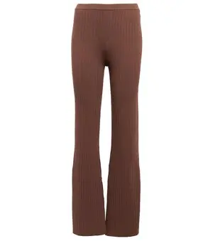 Sir Ribbed