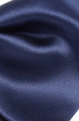 CLIFTON WILSON Silk Butterfly Bow Tie - Blue
