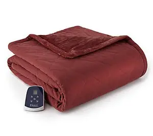SHAVEL Micro Flannel Reverse To Ultra Velvet El Ectric Throw - One-color
