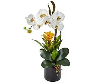 NEARLY NATURAL Orchid And Bromeliad Arrangement Nearly Natu Ral - One-color