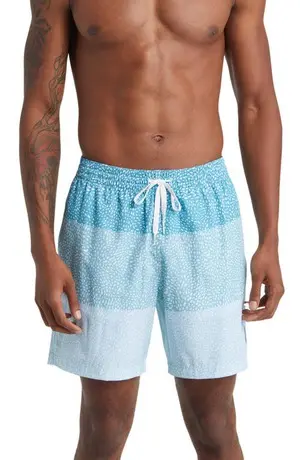 CHUBBIES Classic 7-inch Swim Trunks - Turquoise/aqua