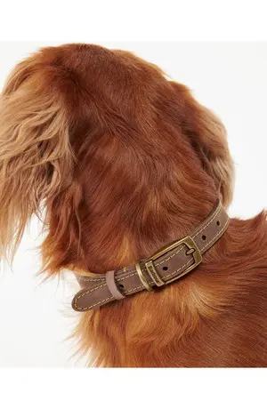 Barbour Leather Dog Collar