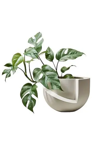 LIGHT + LADDER Vayu Planter In White