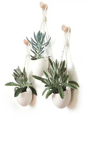 LIGHT + LADDER Spora Hanging Planter & Maple Hook Set In White - Snow