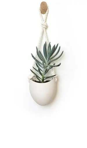 LIGHT + LADDER Spora Hanging Planter & Maple Hook Set In White