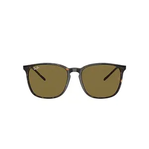 Ray-ban Square Frame Sunglasses - Tortoise