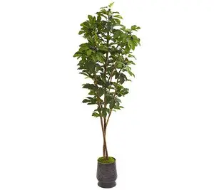 NEARLY NATURAL 88' Fig Tree In Ribbed Metal Planter Nearly Atural - One-color
