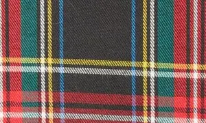 CLIFTON WILSON Holiday Plaid Cotton Pocket Square