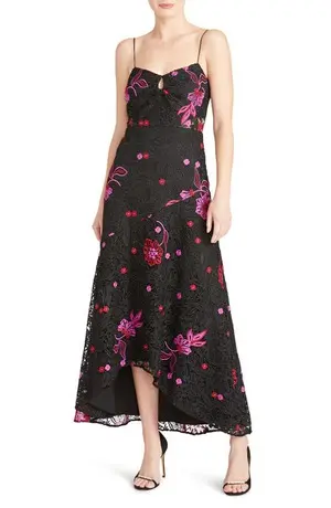 Monique Lhuillier Sleeveless Embroidered Lace A-line Dress