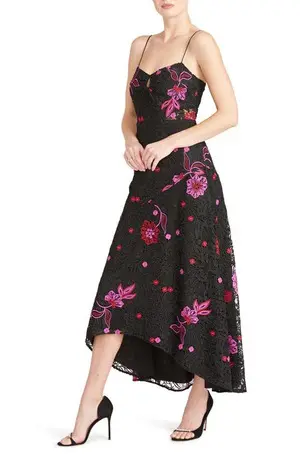 Monique Lhuillier Sleeveless Embroidered Lace A-line Dress