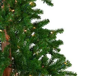 NORTHLIGHT Set Of 3 Alpine Artificial Trees C Lear Lights