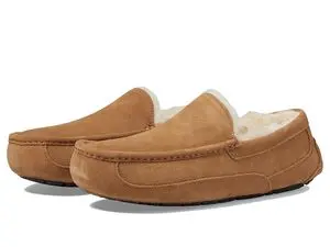 UGG UGG Ascot Slipper Brown
