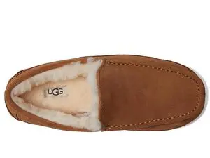UGG Ascot Slipper - Brown