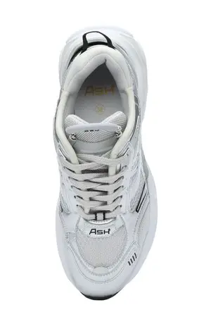 Ash Race Sneaker - Silver/pearl