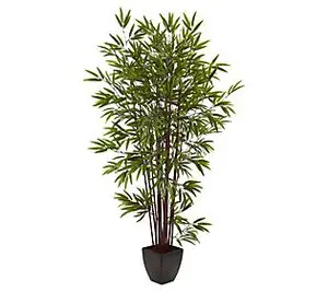 NEARLY NATURAL 6' Bamboo Silk Tree With Planter Nearly Natu Ral - One-color