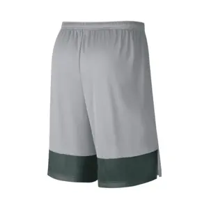Nike College Dri-fit Shorts