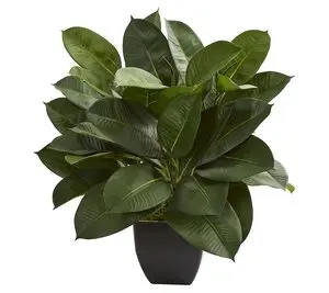 NEARLY NATURAL Oak Ficus Artificial Plant By - One-color