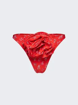 Women's High Leg One Piece Swimsuits