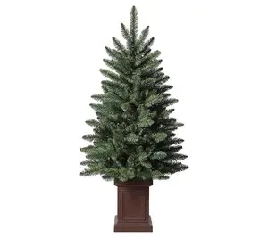 HAUTE DECOR 3.5' Berkeley Fir Unlit - One-color