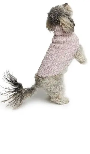 Barefoot Dreams Cozychic Ribbed Pet Sweater In Mauve