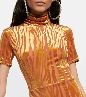Alex Perry Benton Devoré Zebra-print Catsuit