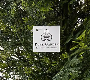 PURE GARDEN 60' Cedar Tree