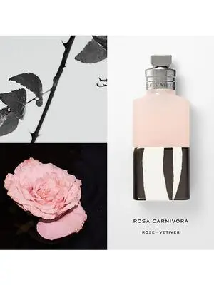 Dries Van Noten Rosa Carnivora Eau De Parfums Refill - One-color