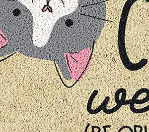 DESIGN IMPORTS Cats Welcome 17' X 29' Doormat