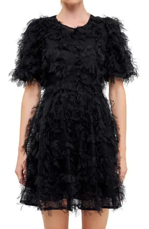 Endless Rose Feathered Mesh Mini Dress