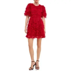 Endless Rose Feathered Mesh Mini Dress