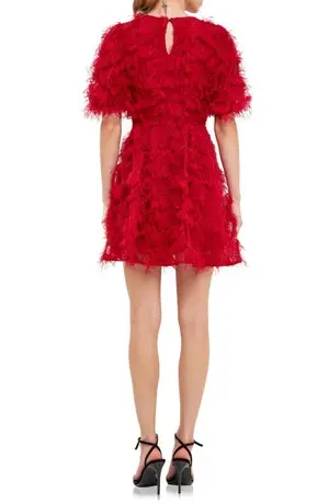 Endless Rose Feathered Mesh Mini Dress