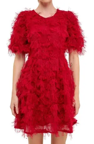 Endless Rose Feathered Mesh Mini Dress