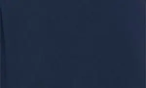 Alex Evenings Embroidered Bodice A-line Cocktail Dress